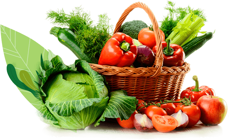 LERMEX | Logística Express Reynoso de México S.A. de C.V. | Expertos ...